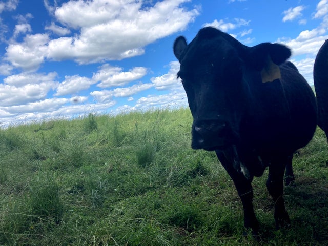 Kinderhook Farm Store